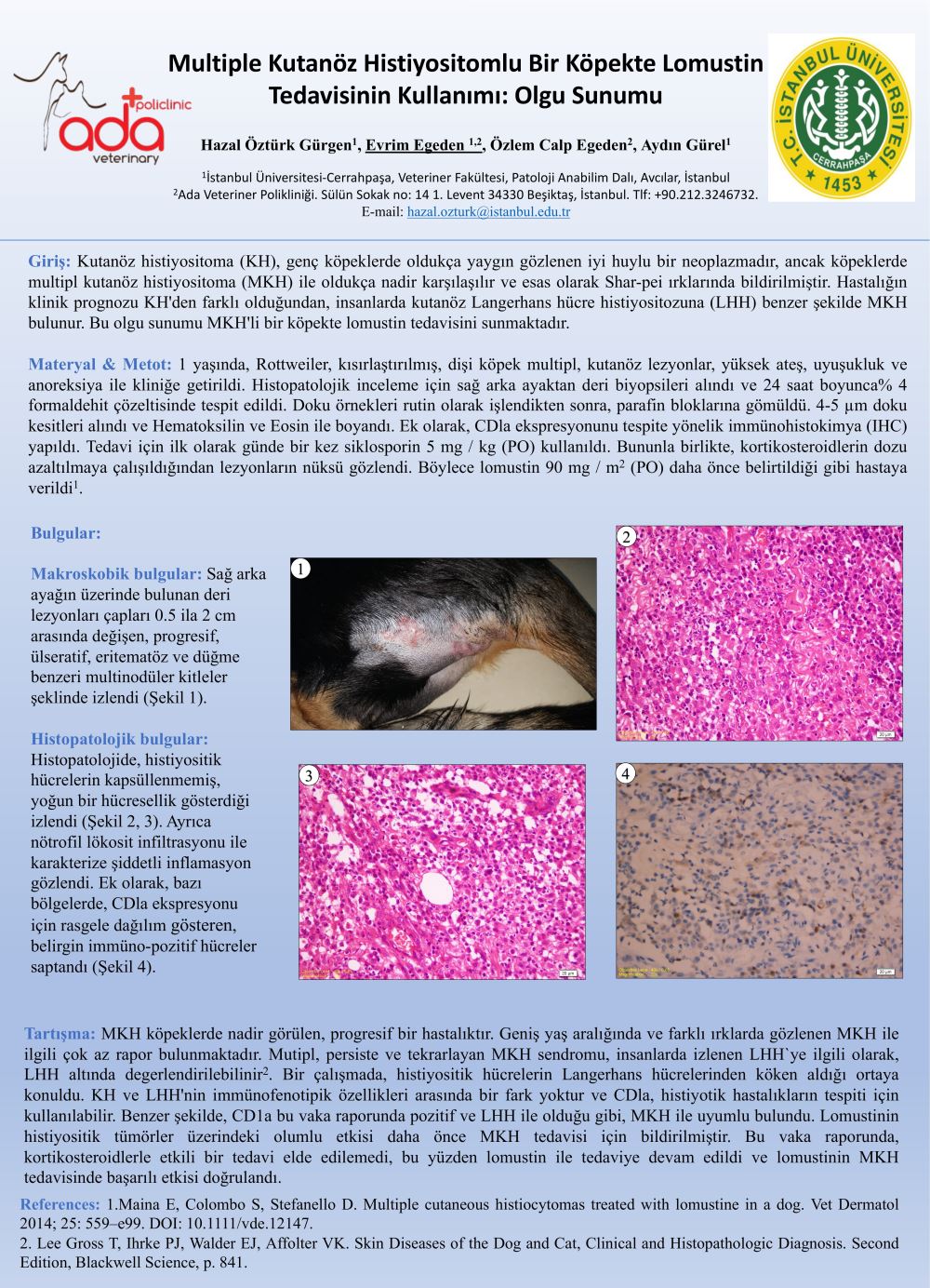 The Use Of Lomustine Treatment In A Dog With Multiple Cutaneous ...