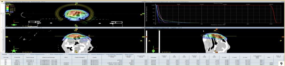 Treatment Of A Cat Diagnosed With Nasal Squamous Cell Carcinoma With ...