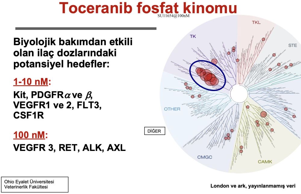 Toceranib: Güncel Literatür ve Tedavi Önerilerine Ilişkin Özet ...