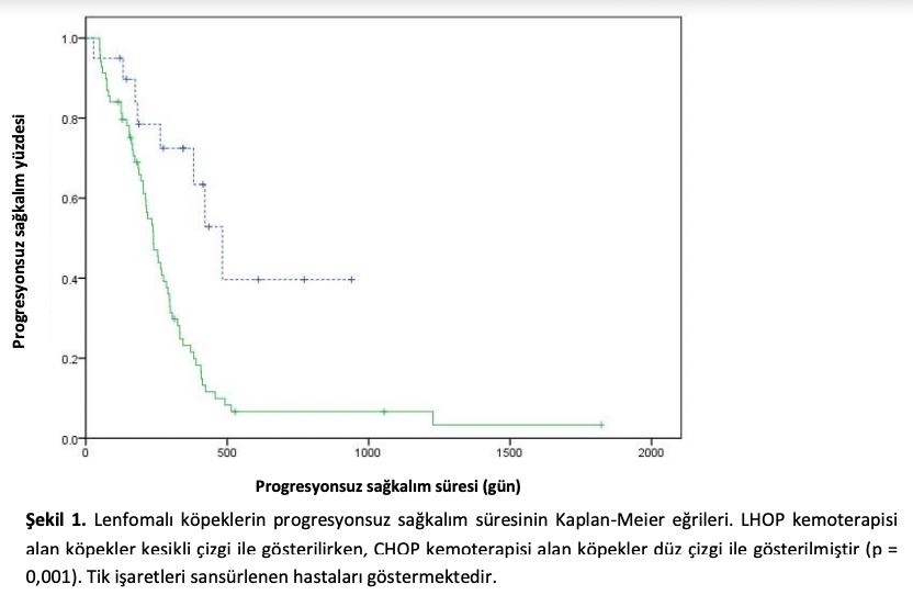 Multisentrik Lenfomalı Köpeklerde İlk Basamak Tedavi Olarak L ...